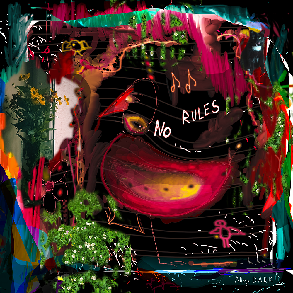 NO RULES